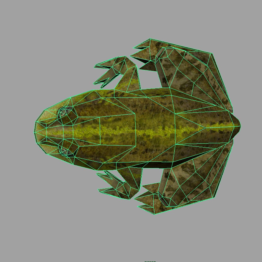 Free 3ds Mode Paper Frog Papermodel