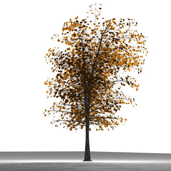 3d model plane tree