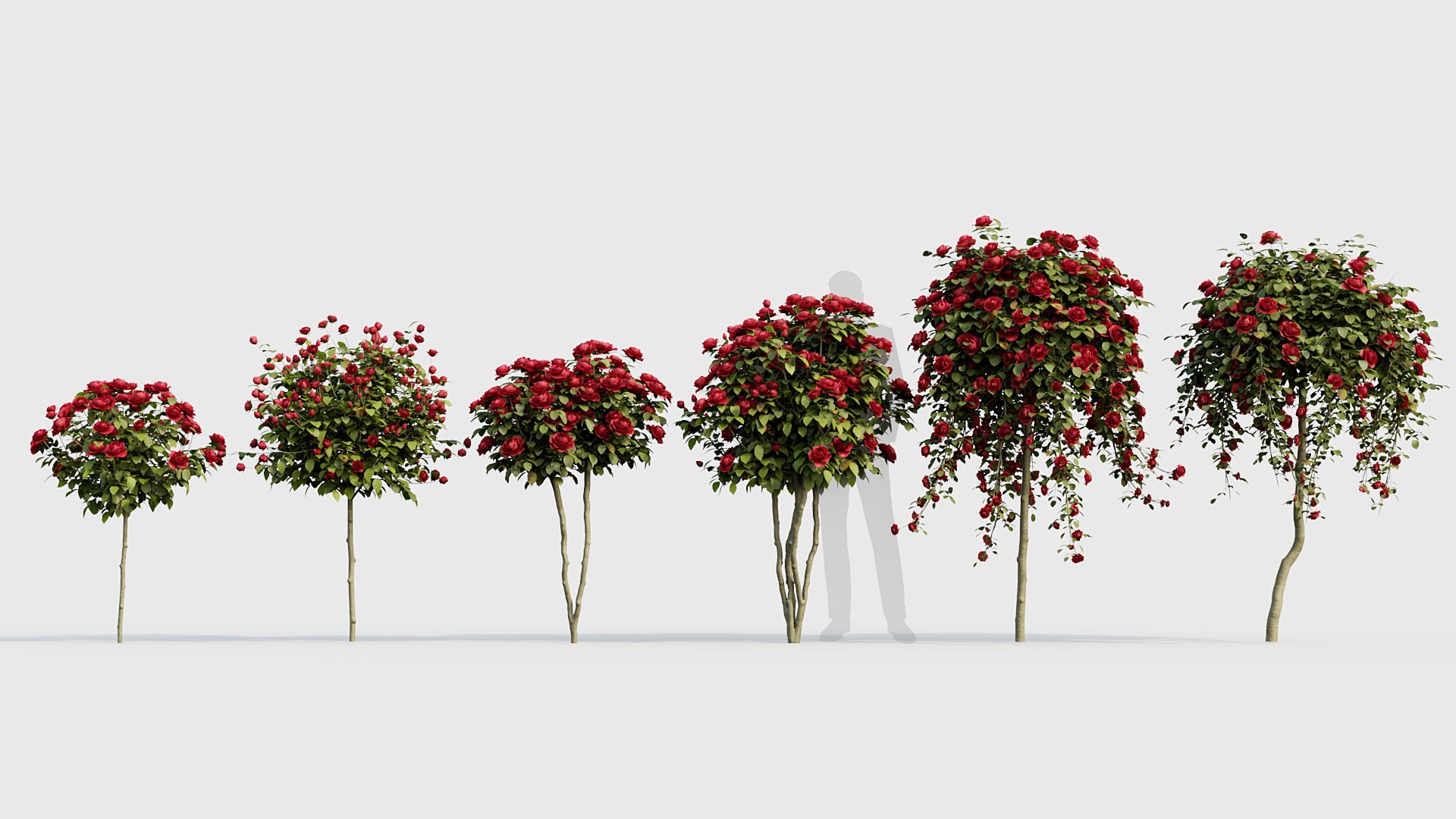 Rose Tree 02 3D Model 3D Model - TurboSquid 2173847