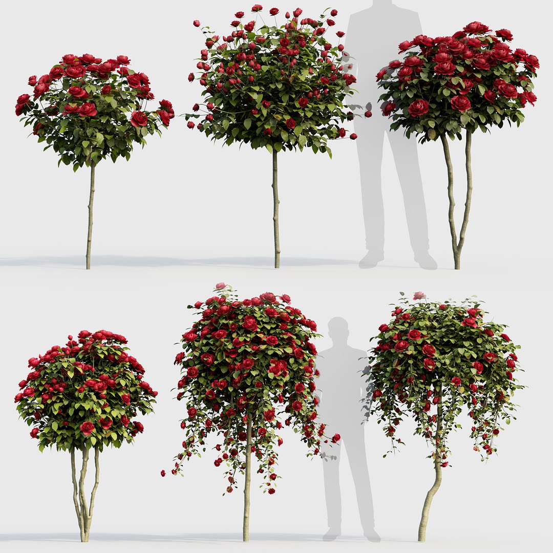 Rose Tree 02 3D Model 3D Model - TurboSquid 2173847