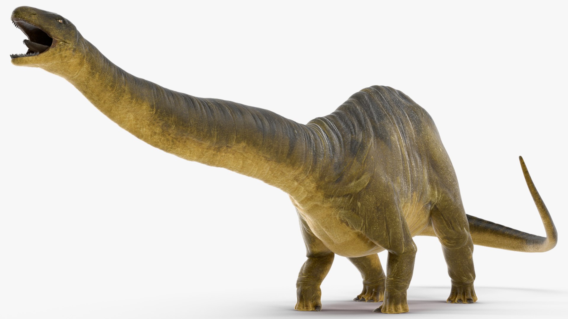 3d model apatosaurus dinosaur fighting pose