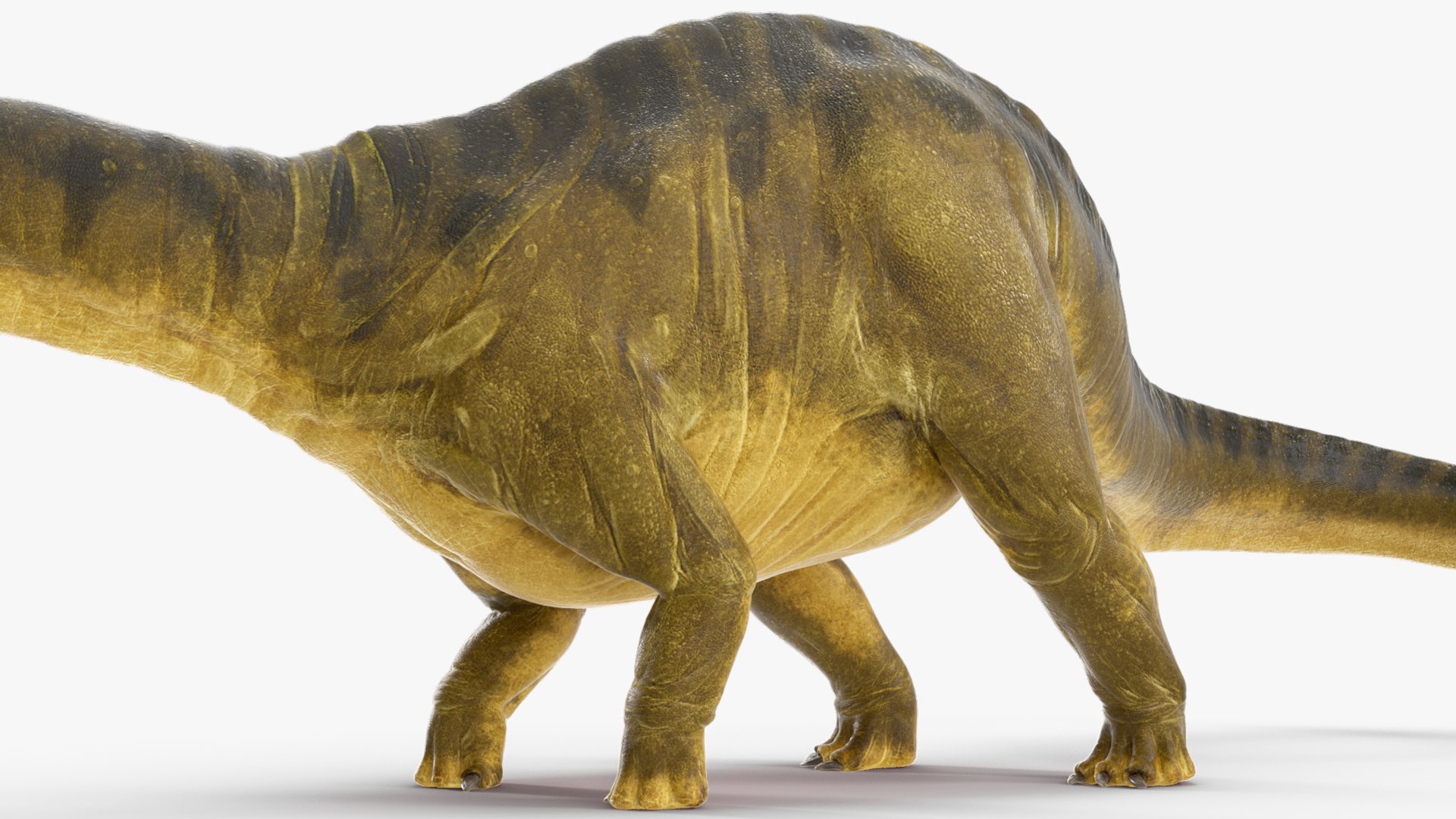 3d model apatosaurus dinosaur fighting pose