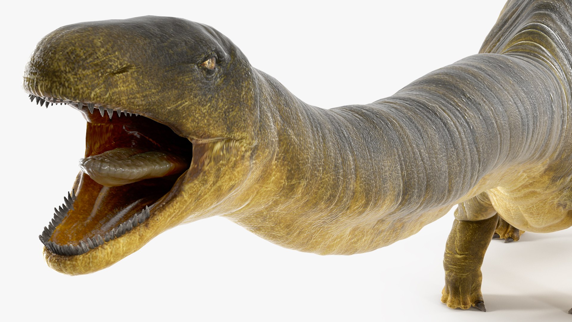 3d model apatosaurus dinosaur fighting pose