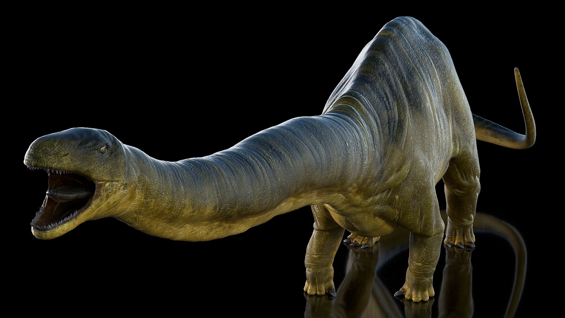 3d model apatosaurus dinosaur fighting pose