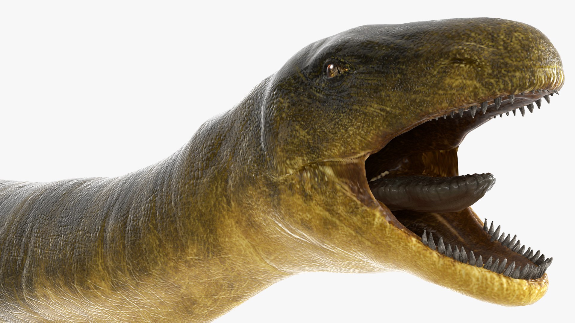 3d model apatosaurus dinosaur fighting pose