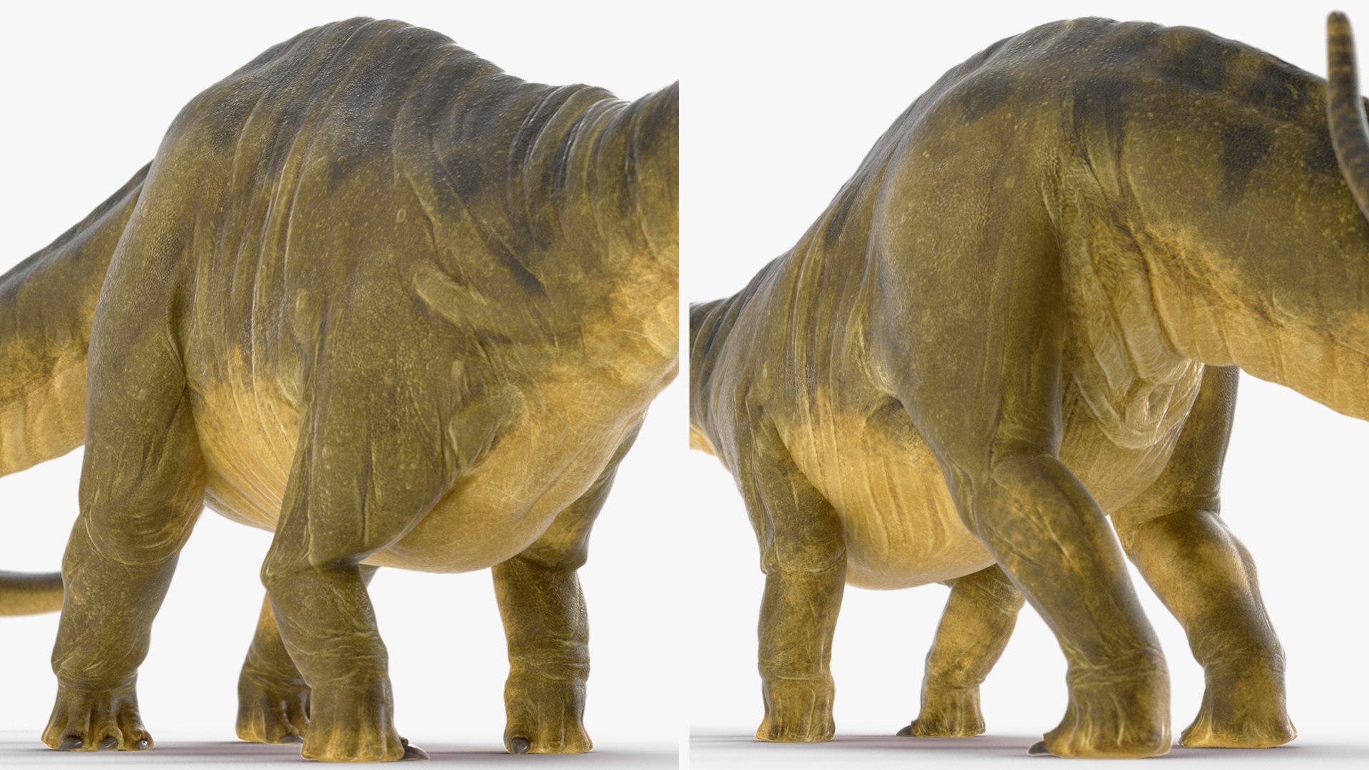 3d model apatosaurus dinosaur fighting pose