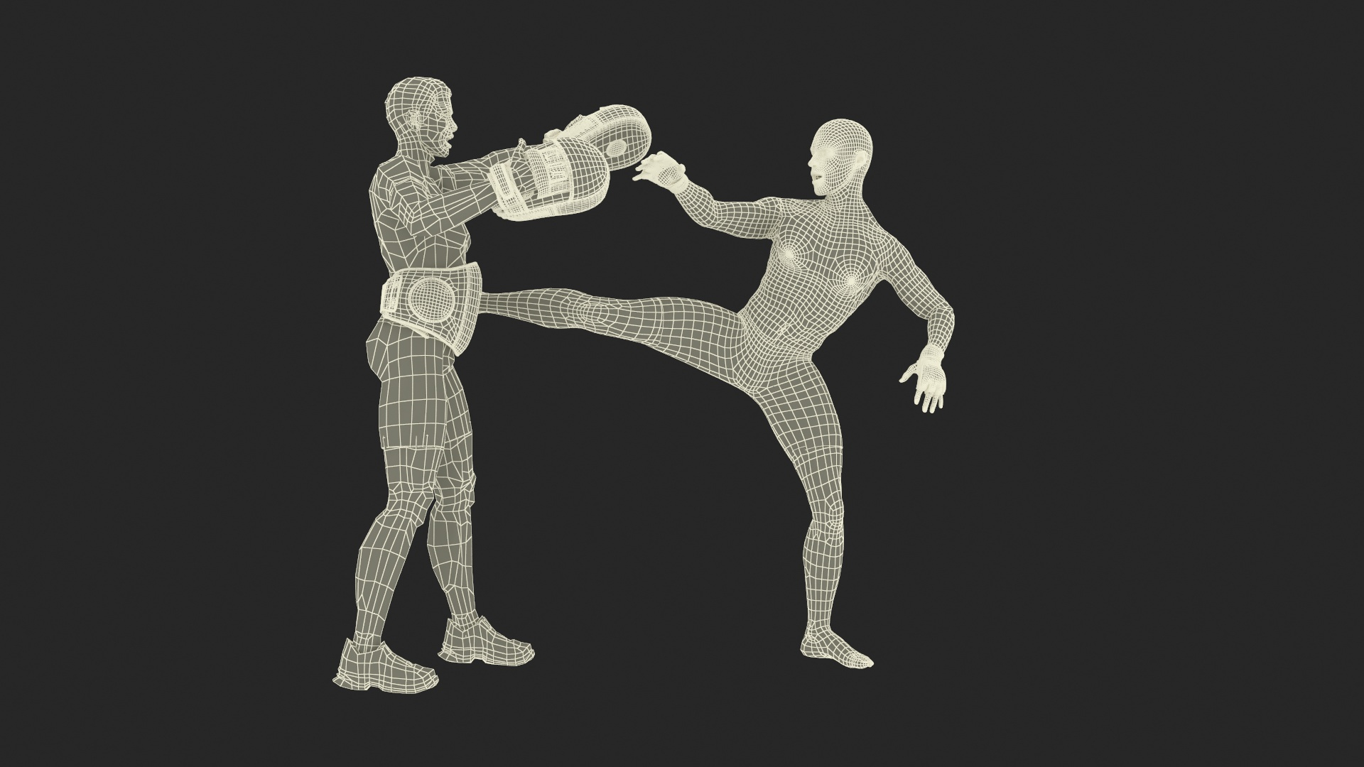 Fighter UFC MMA Training With Coach Fur 3D Model - TurboSquid 2333988