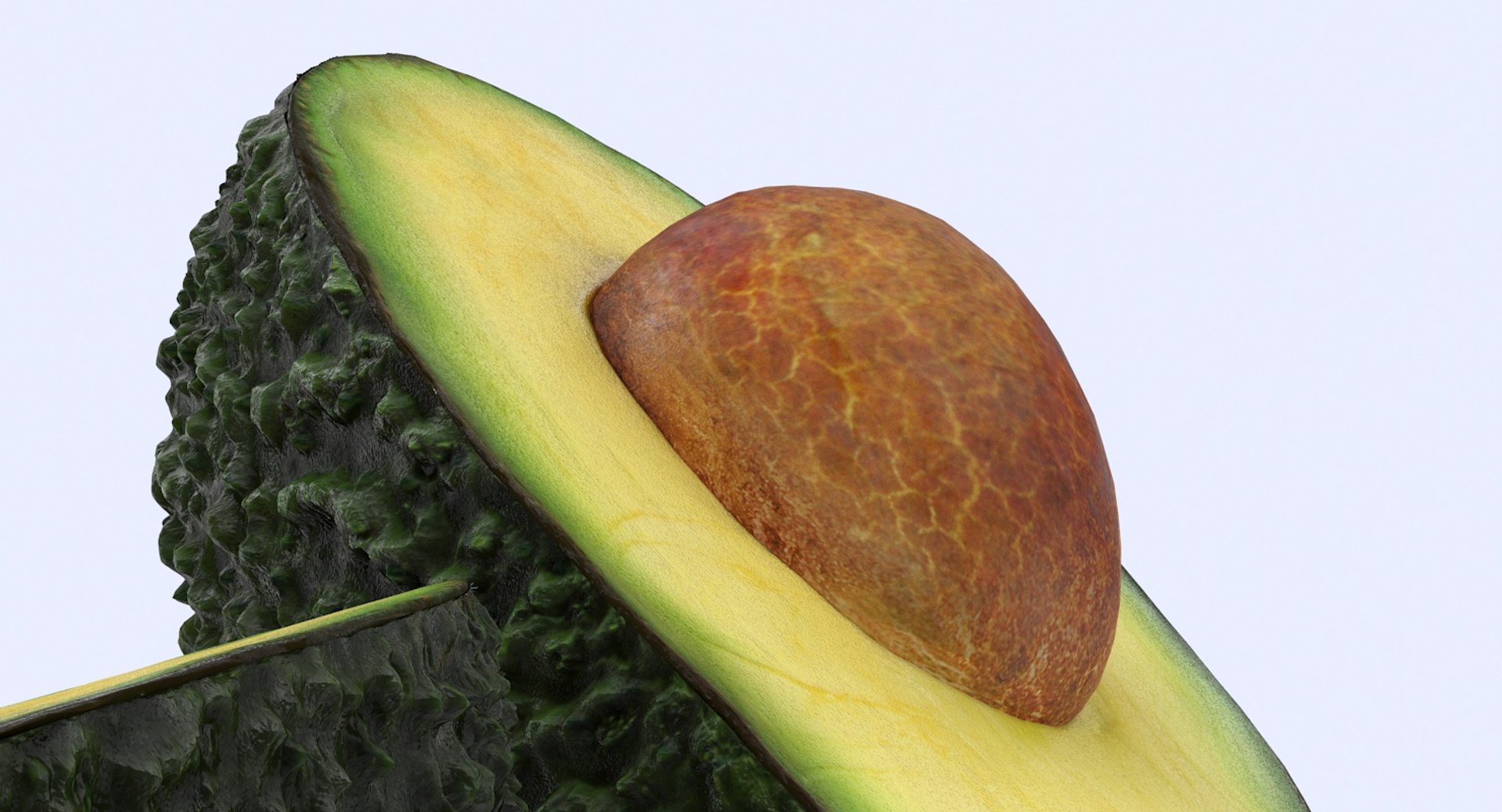 Avocado Cross Section 3d C4d