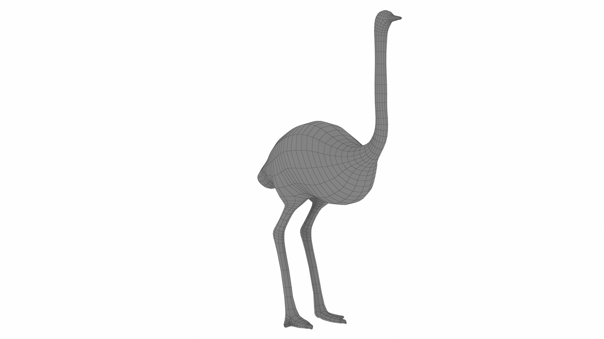 3D Model Ostrich - TurboSquid 2340051
