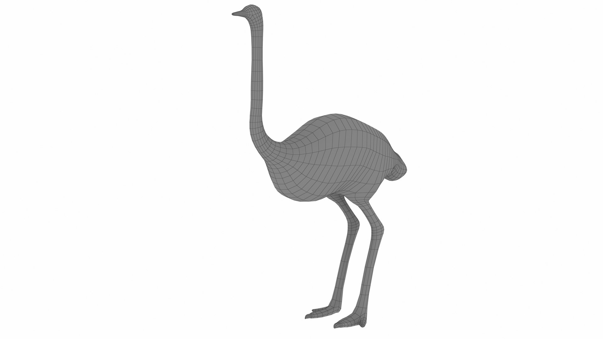 3D Model Ostrich - TurboSquid 2340051