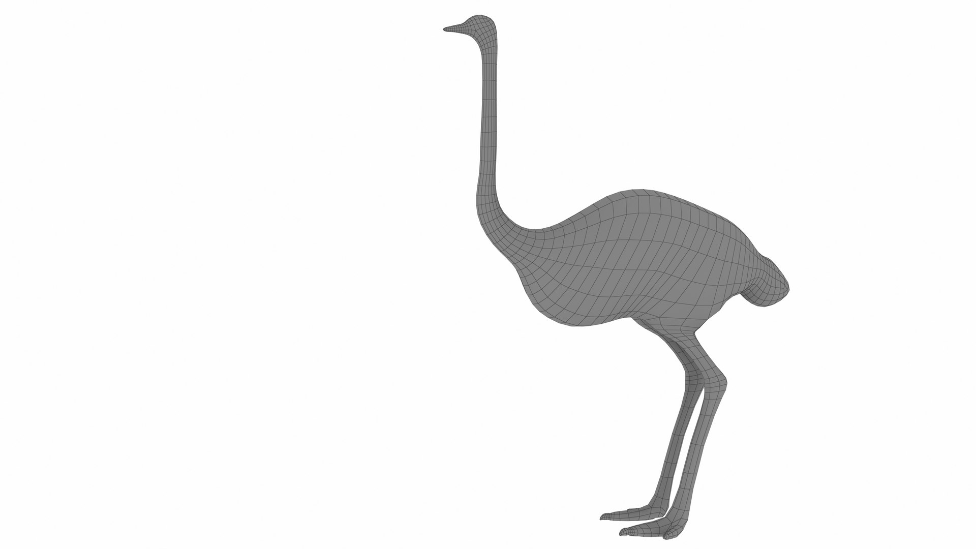 3D Model Ostrich - TurboSquid 2340051