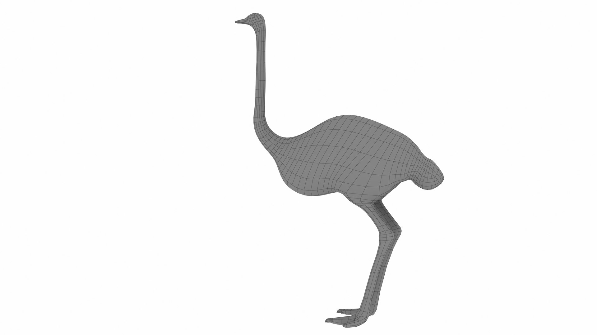 3D Model Ostrich - TurboSquid 2340051