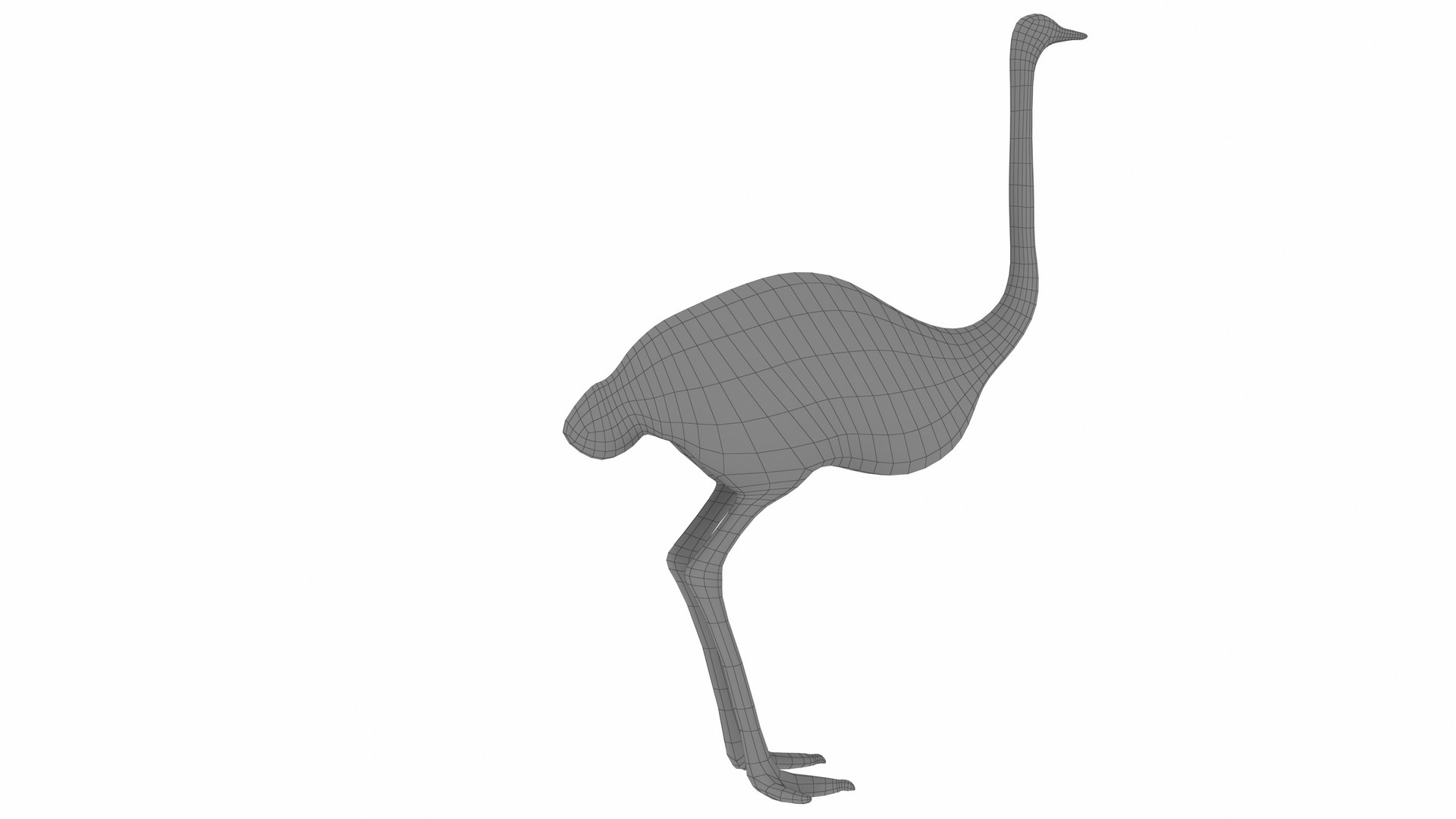 3D Model Ostrich - TurboSquid 2340051
