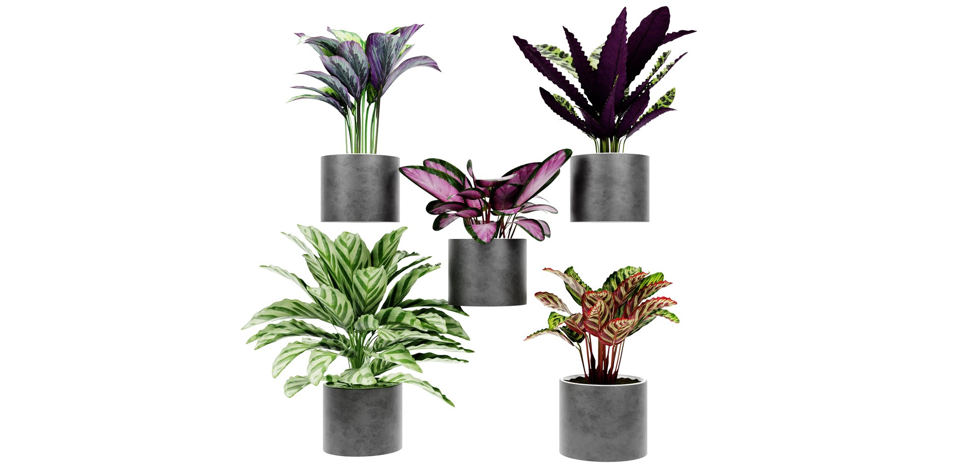 Collection Plant Vol 459 - Blender Model Model - TurboSquid 2099160