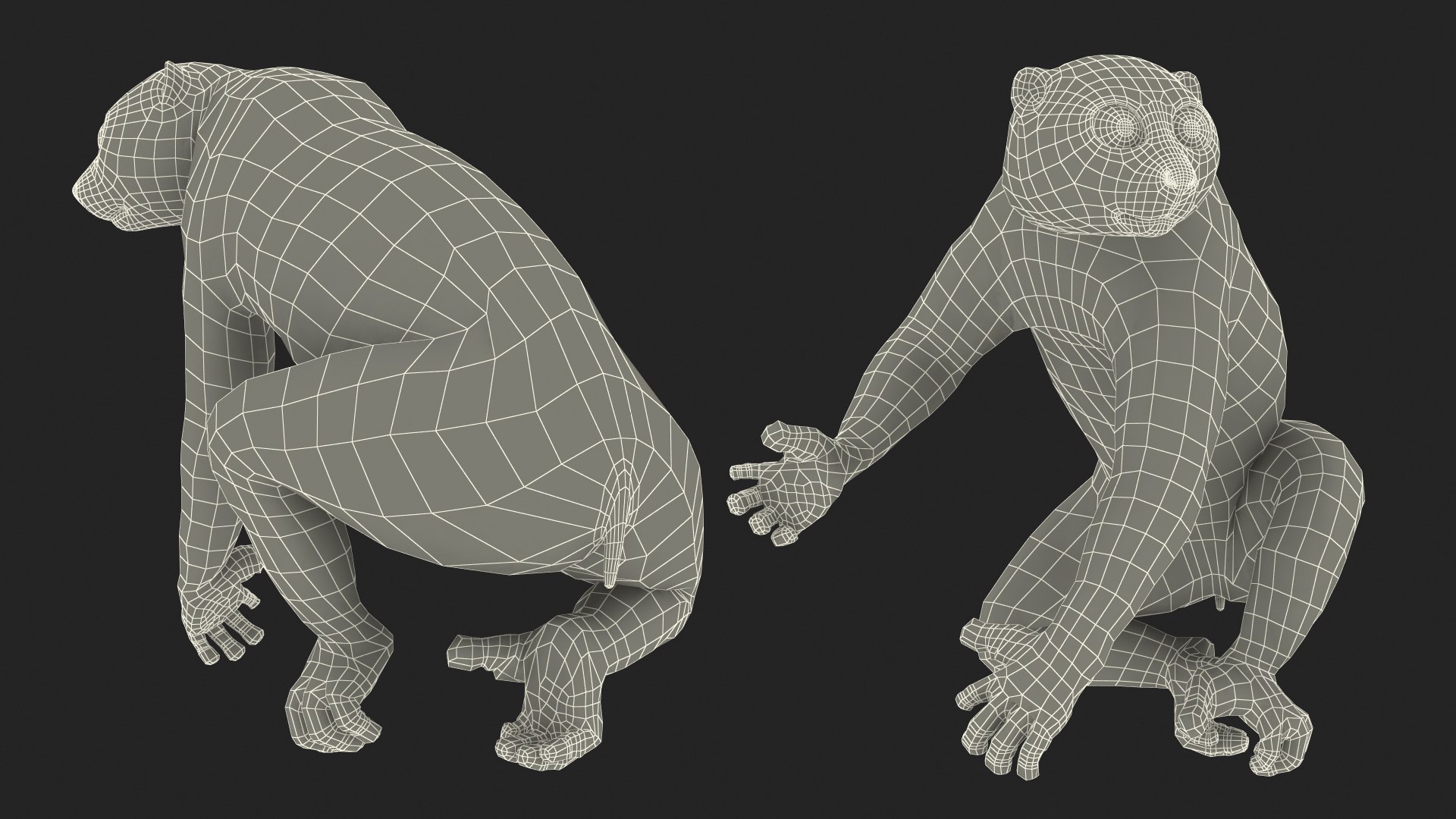 Nycticebus Pygmaeus Fur 3D Model - TurboSquid 2140996
