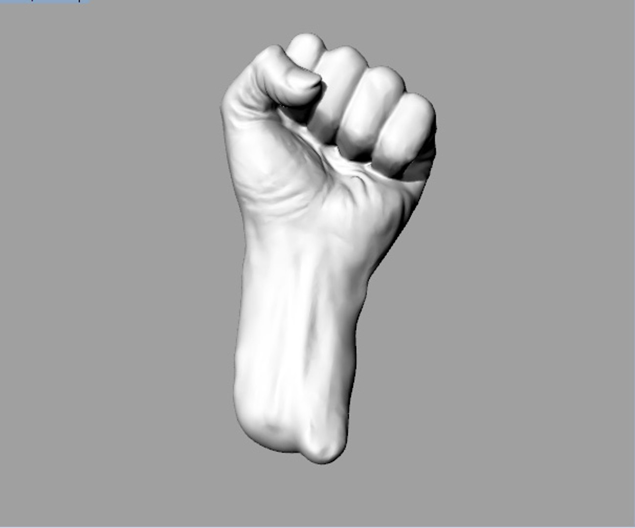 Clenched Fist 3d Obj