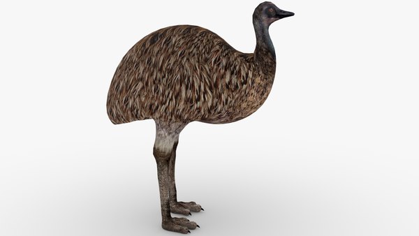 Emu Low Poly Model 3D - TurboSquid 1177941
