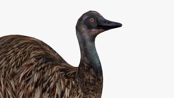 Emu Low Poly Model 3D - TurboSquid 1177941