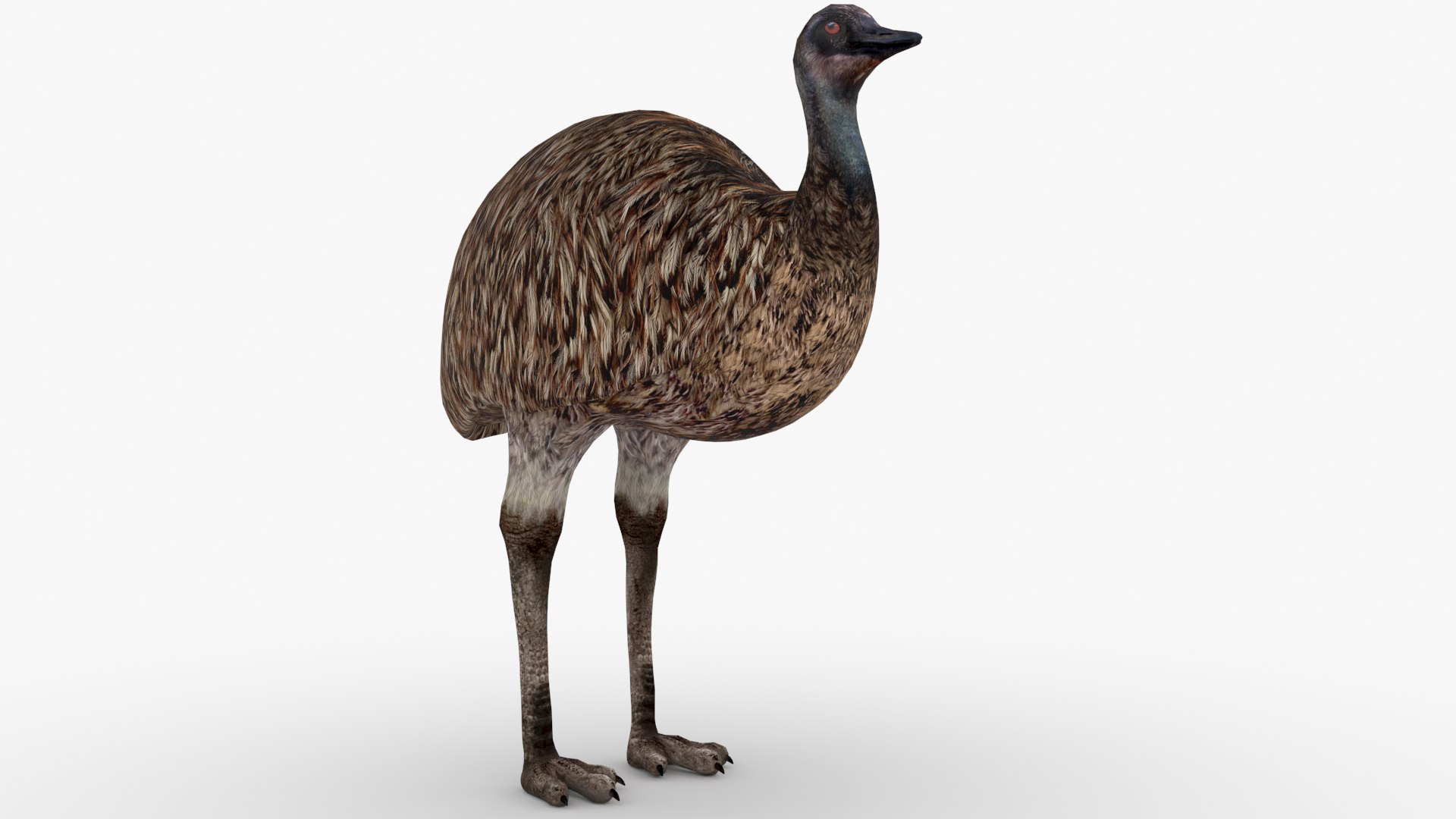 エミューローポリ3Dモデル - TurboSquid 1177941