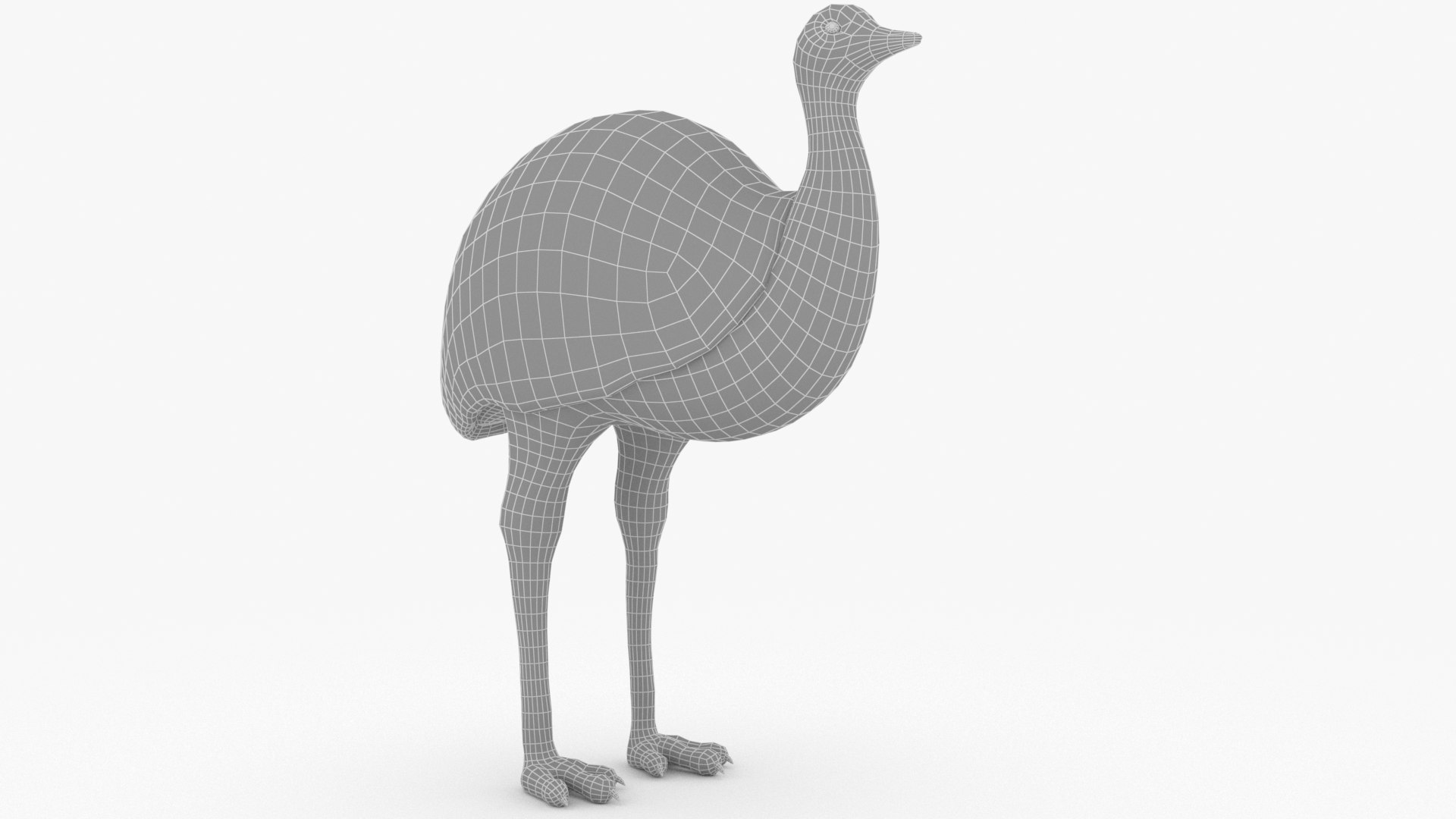 Emu 3D Model - TurboSquid 1177941