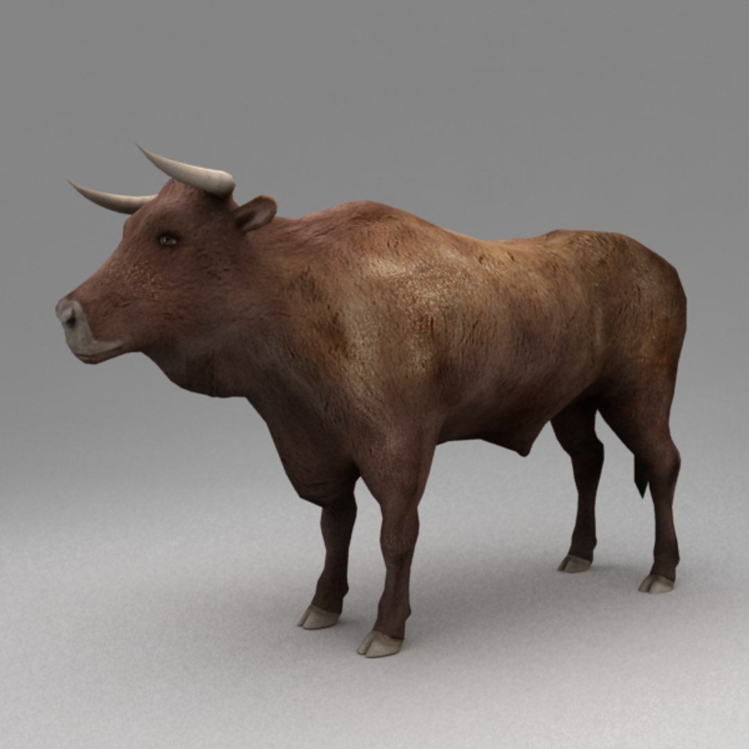 3d rigged bull animation walk