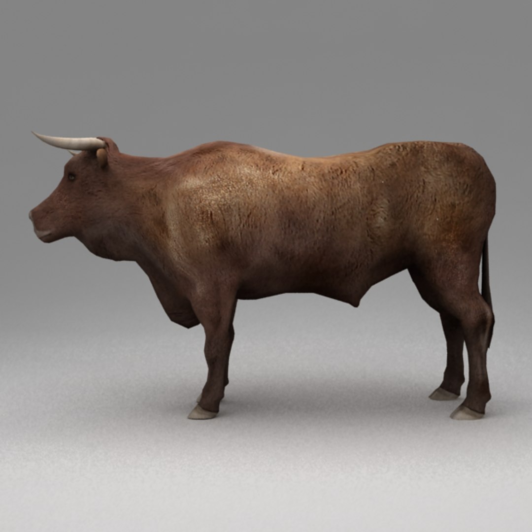 3d rigged bull animation walk