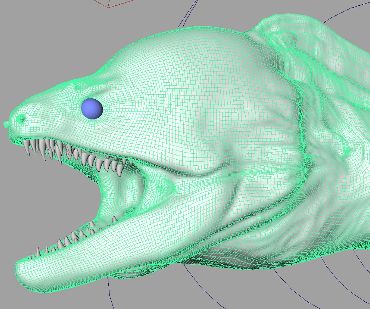 Moray Eel 3d Model