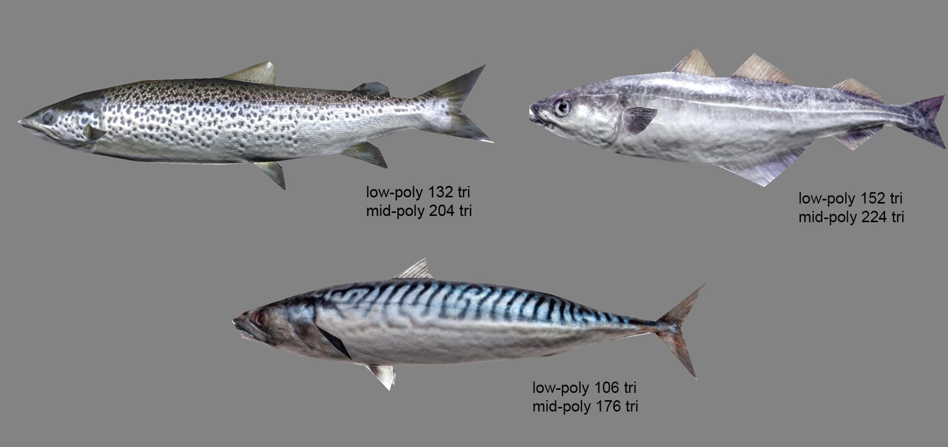 Maya Fish Animations