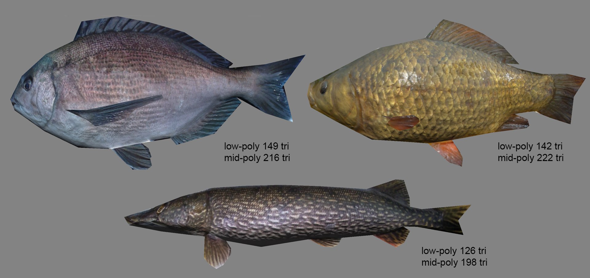 Maya Fish Animations