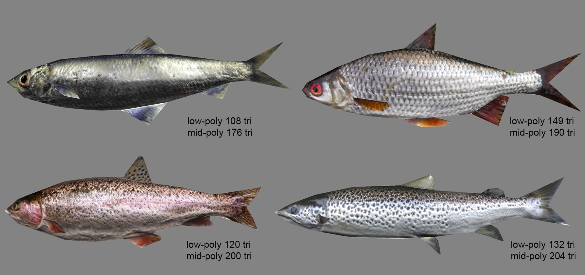 Maya Fish Animations