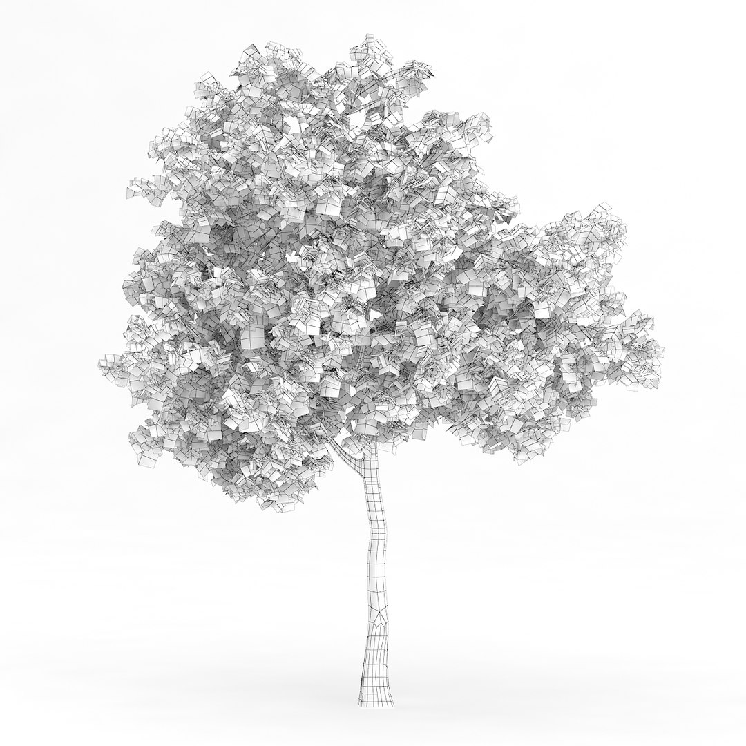 3d model wild service tree sorbus