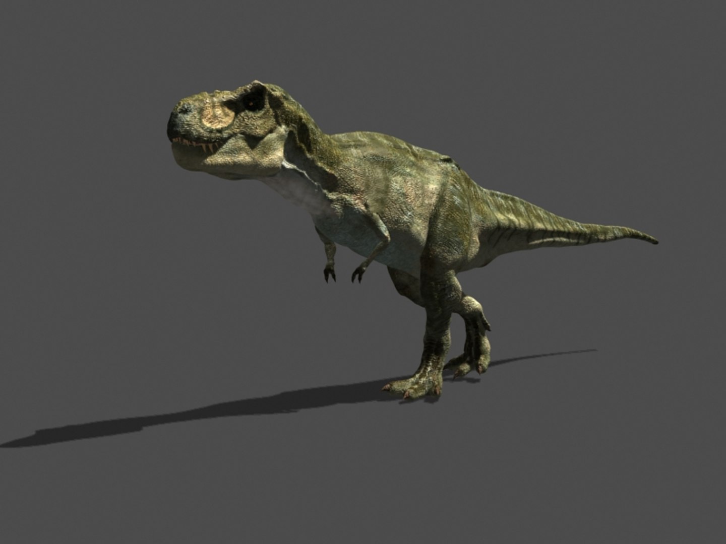 jurassic t rex 3d model