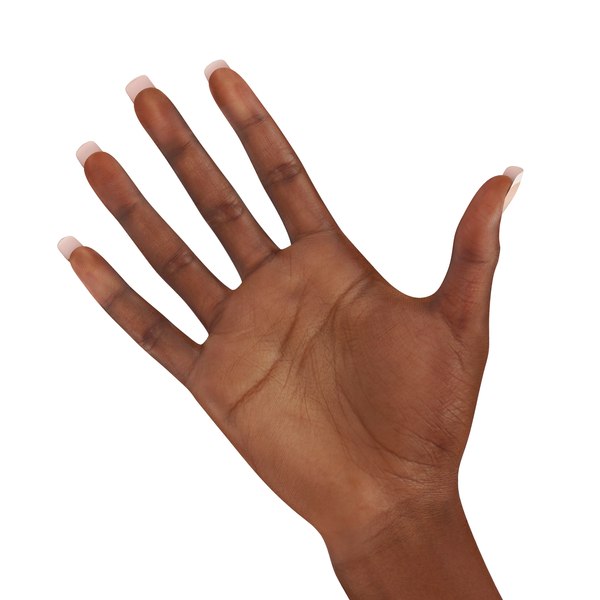 female hand african american 3d c4d
