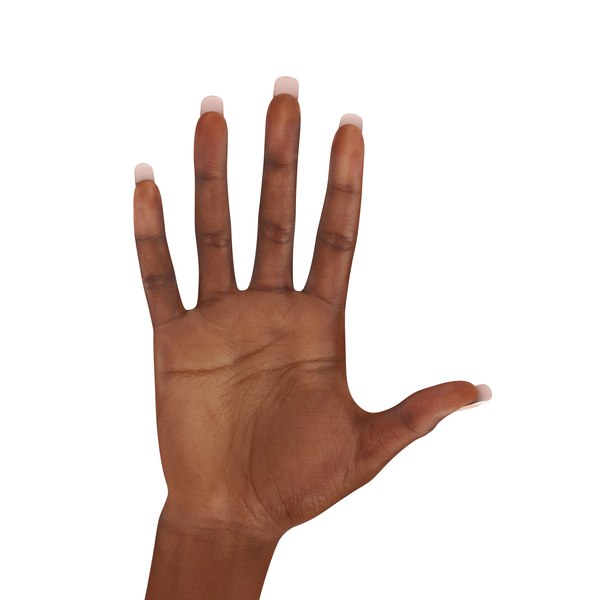 female hand african american 3d c4d