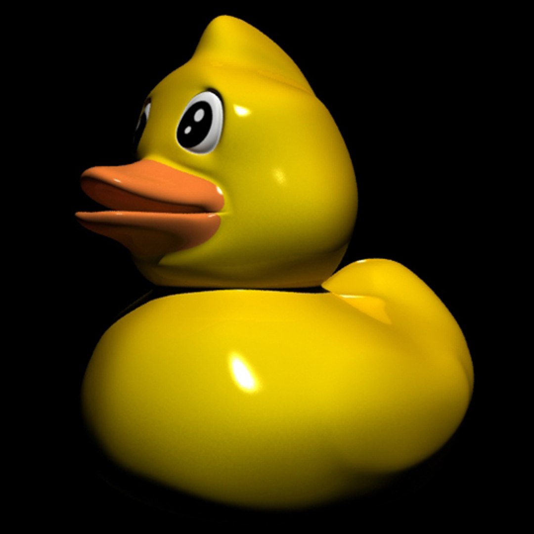 Max Duck Toy