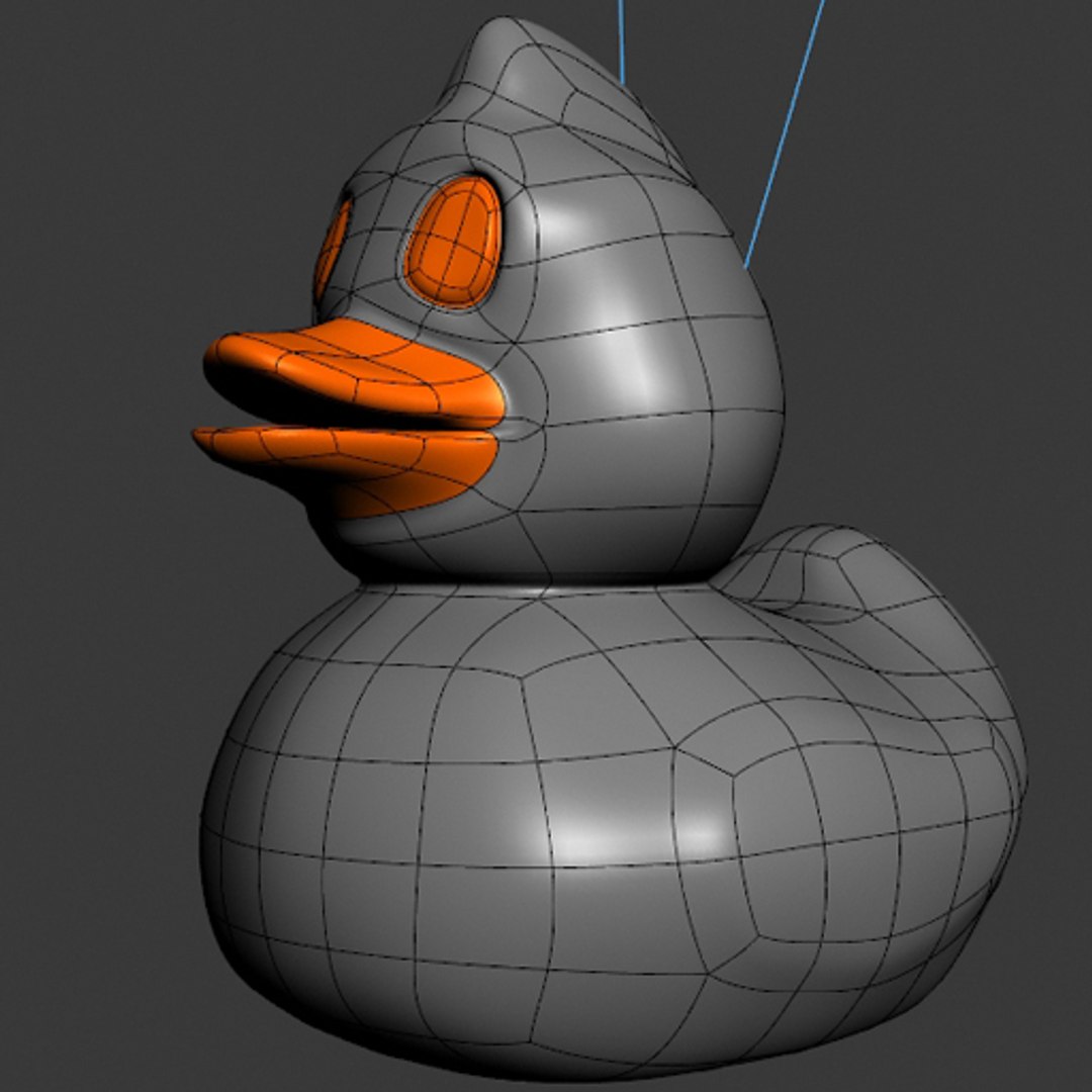 Max Duck Toy