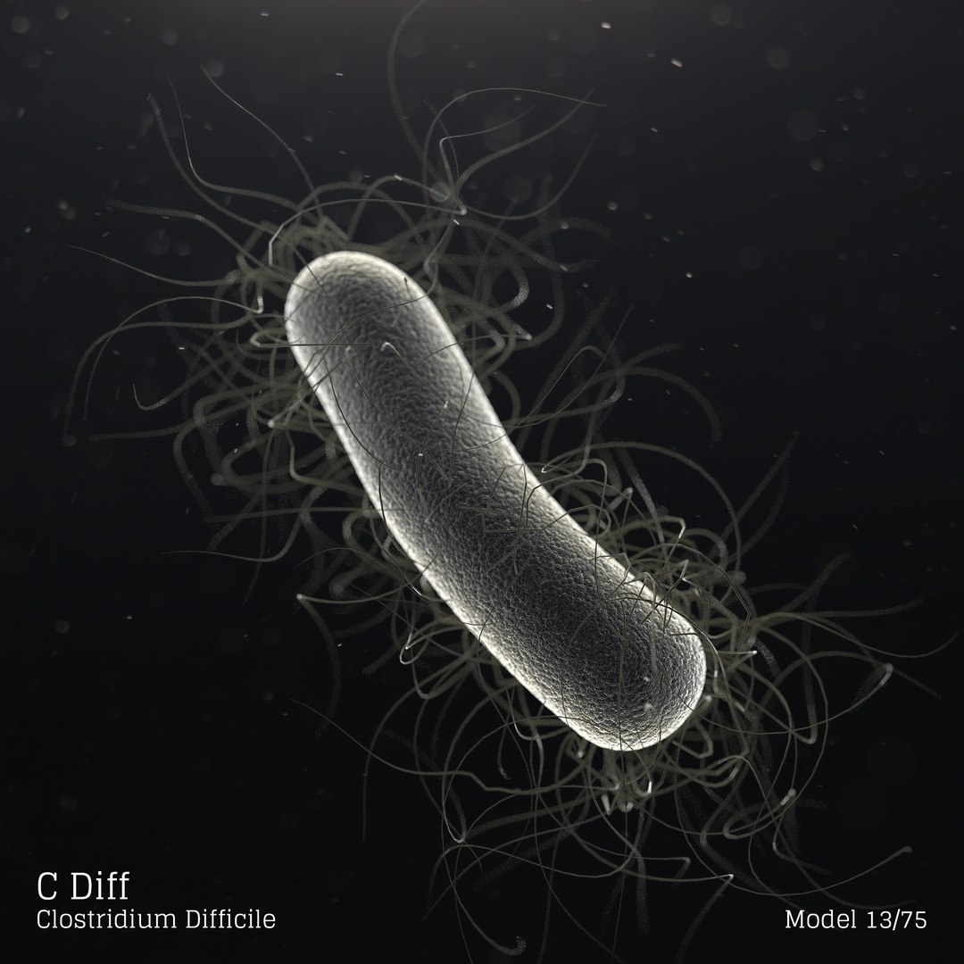 3D Microbes Bacteria Cells Model - TurboSquid 1626177