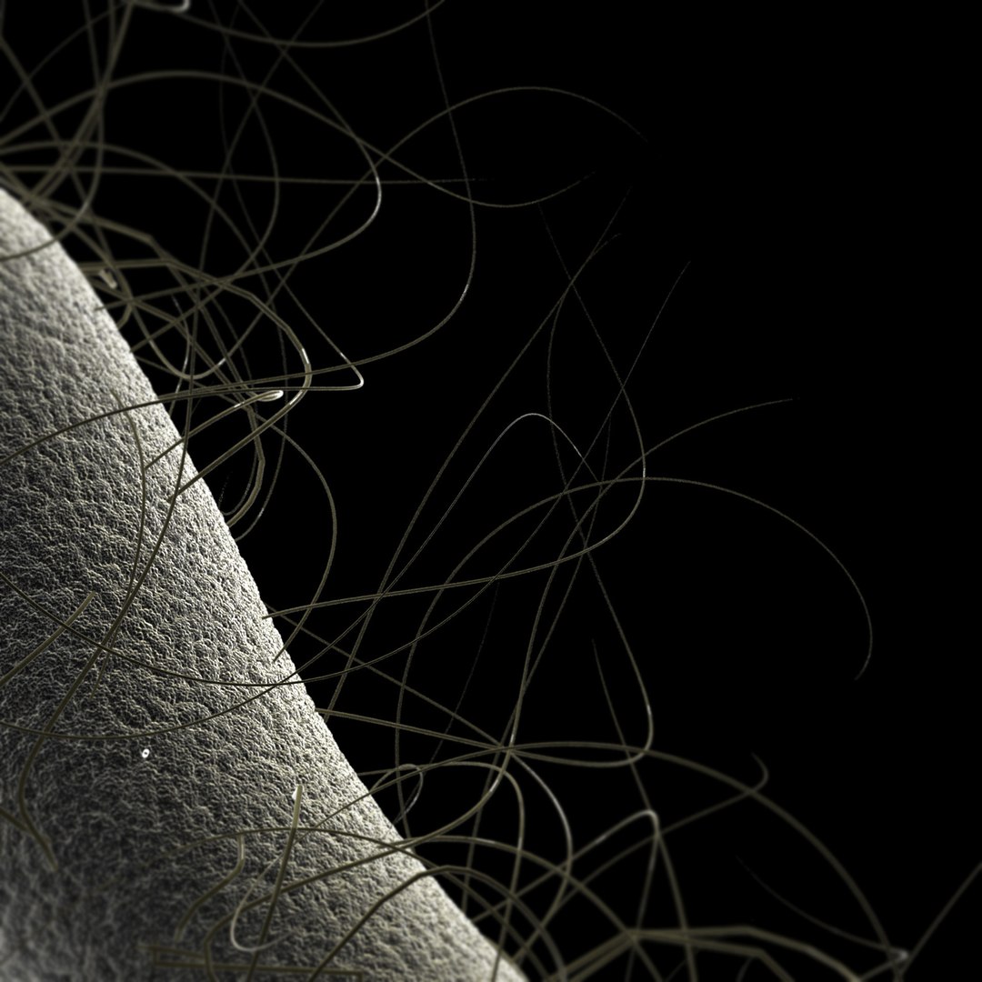 3D Microbes Bacteria Cells Model - TurboSquid 1626177