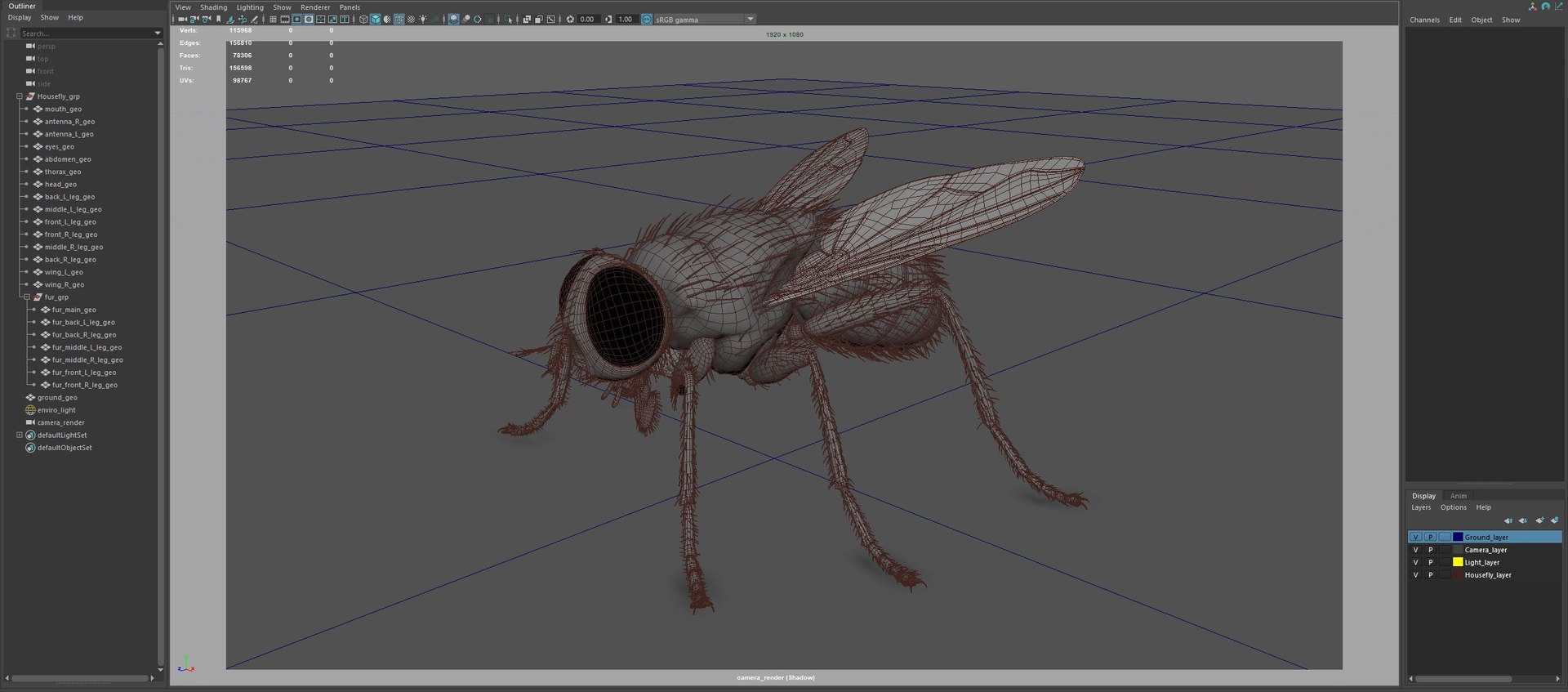 Housefly Realistic Wings 3D - TurboSquid 1566979