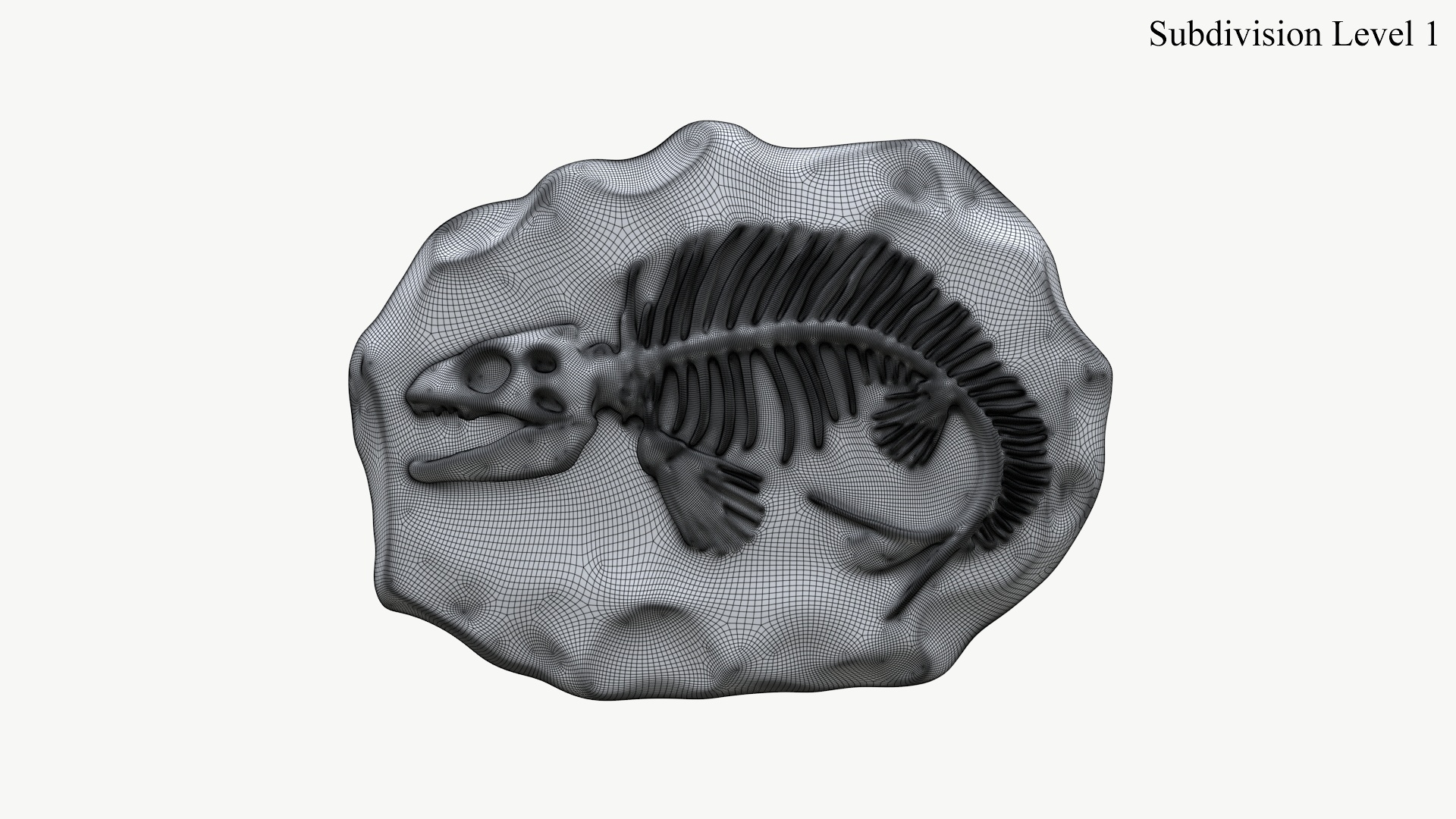 Prehistoric Fish Skeleton Fossil 026 Textured 3D Model - TurboSquid 2304651