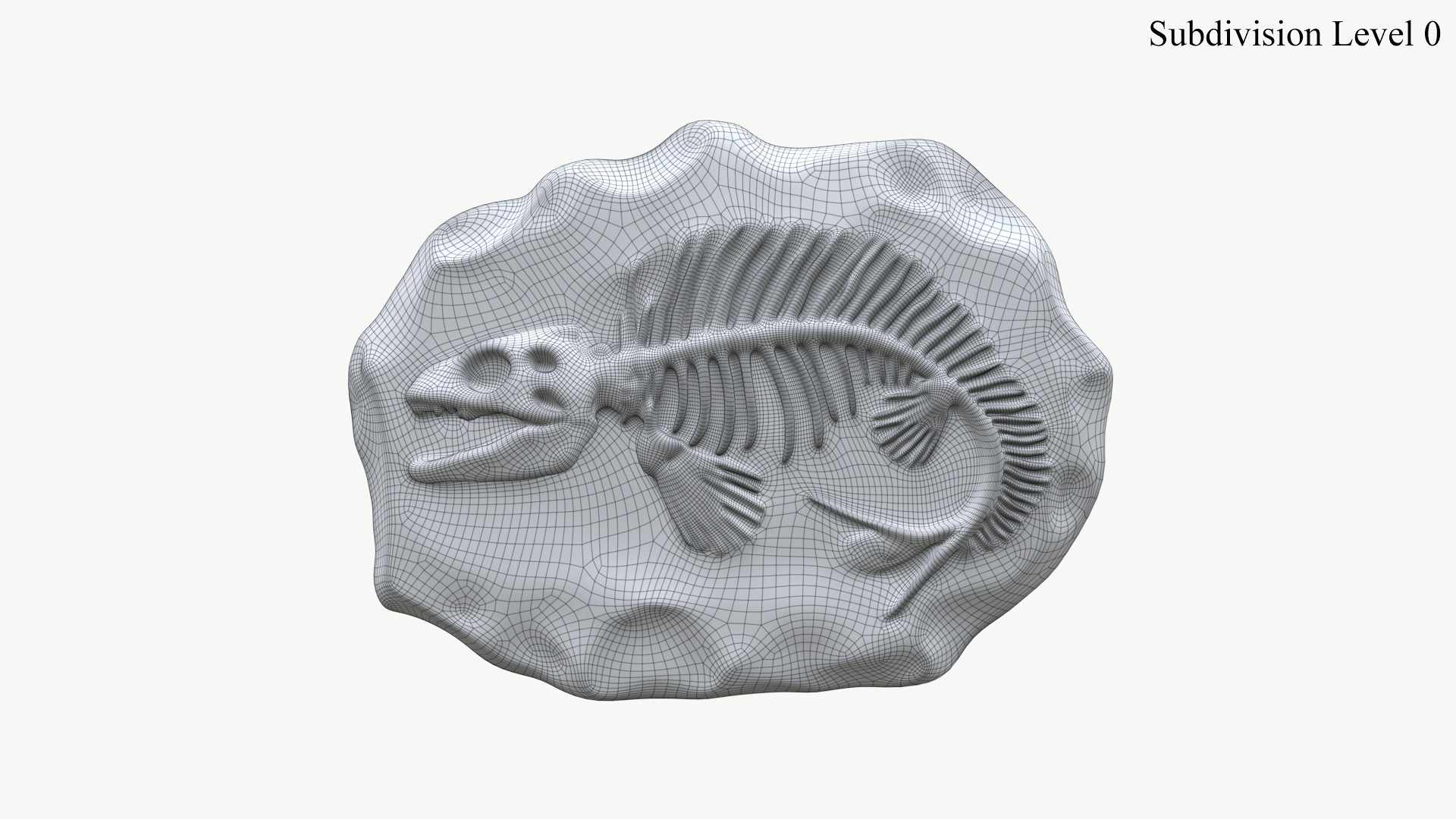 Prehistoric Fish Skeleton Fossil 026 Textured 3D Model - TurboSquid 2304651
