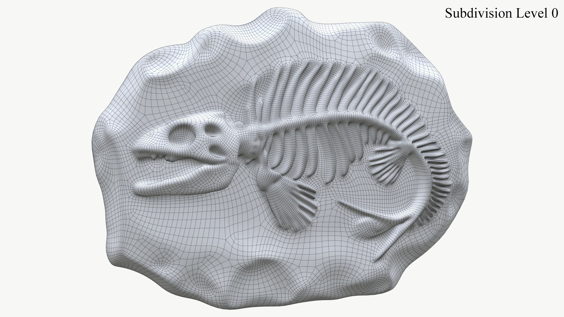 Prehistoric Fish Skeleton Fossil 026 Textured 3D Model - TurboSquid 2304651
