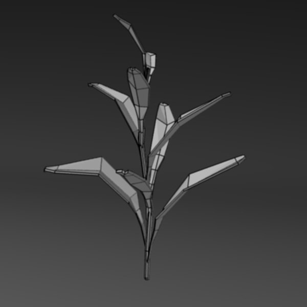 corn stalk 3d model