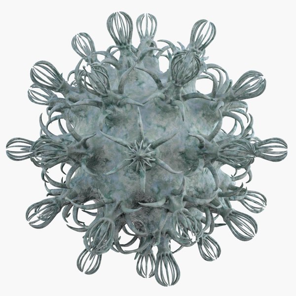 max micro object mht