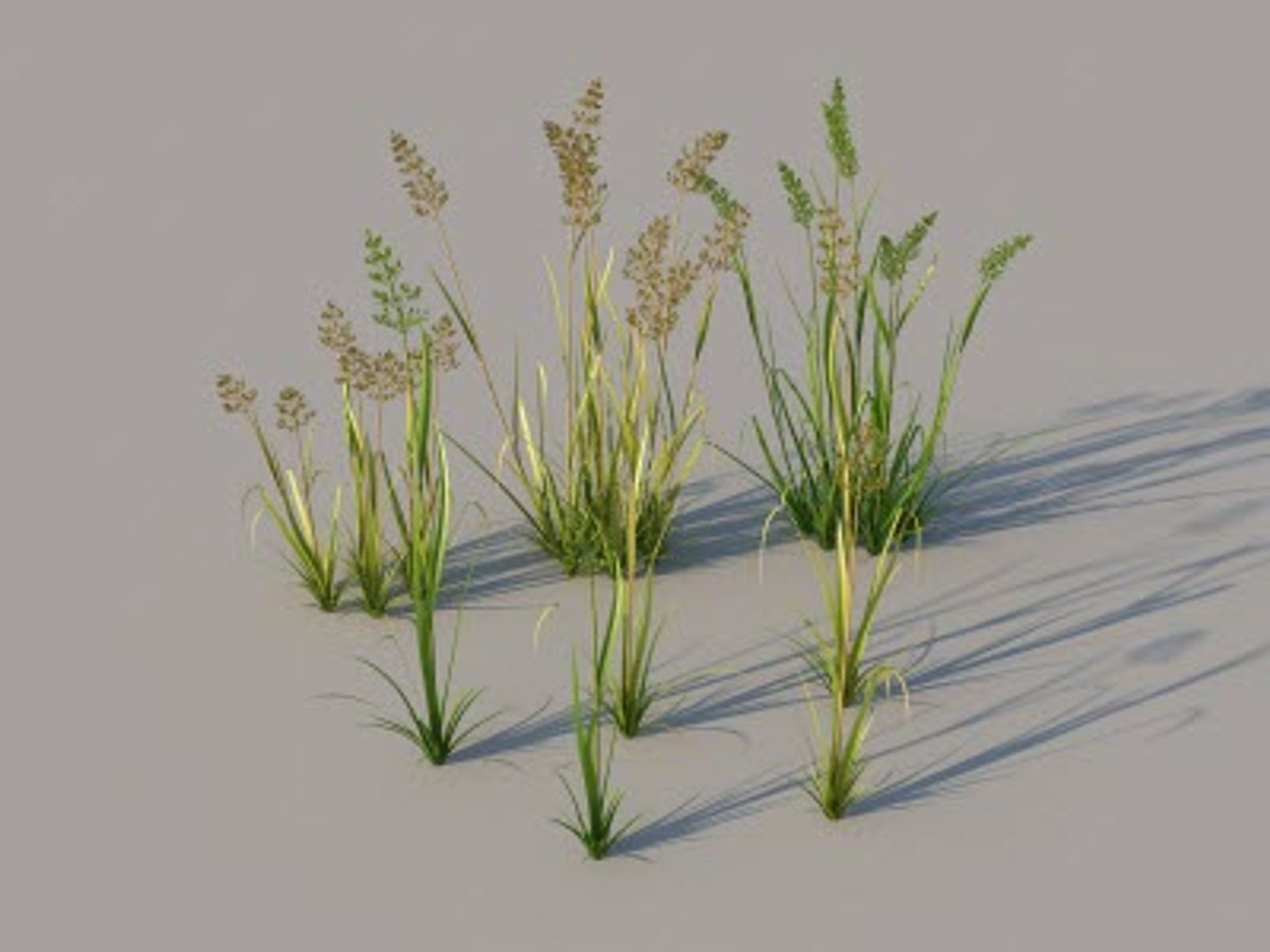 3d model grass scattering