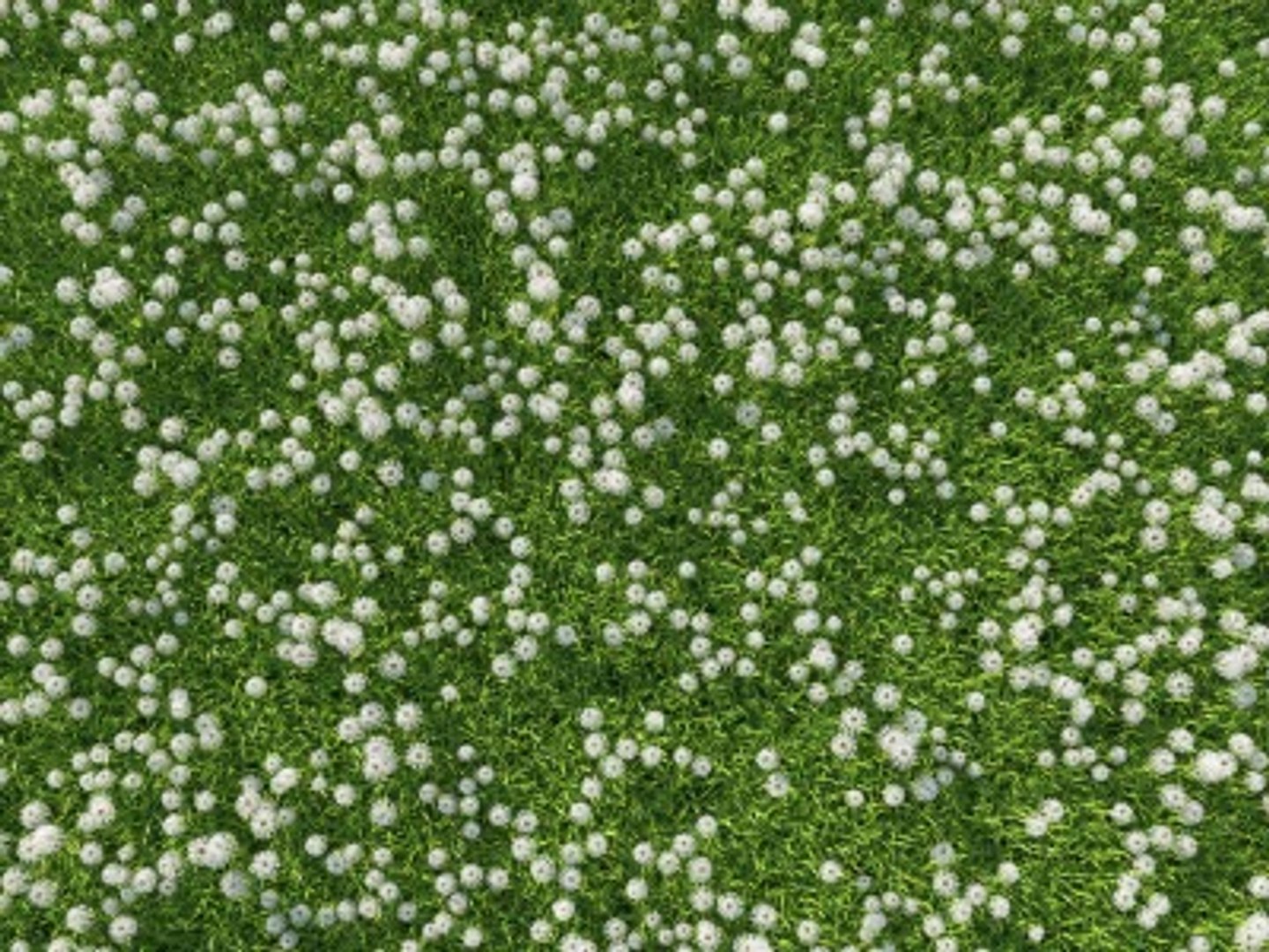 3d model grass scattering