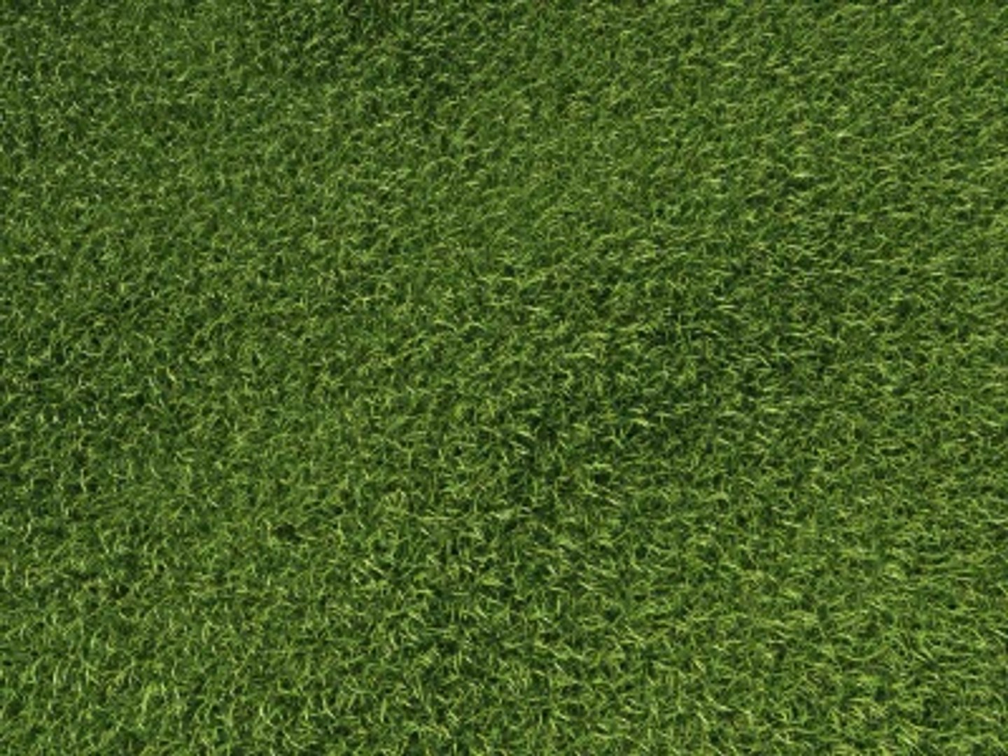 3d model grass scattering