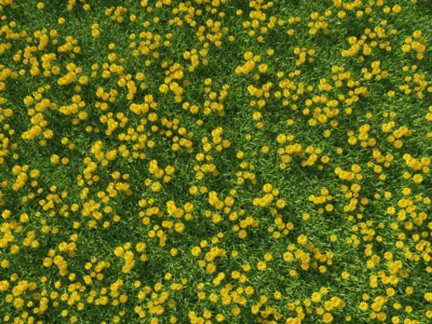 3d model grass scattering