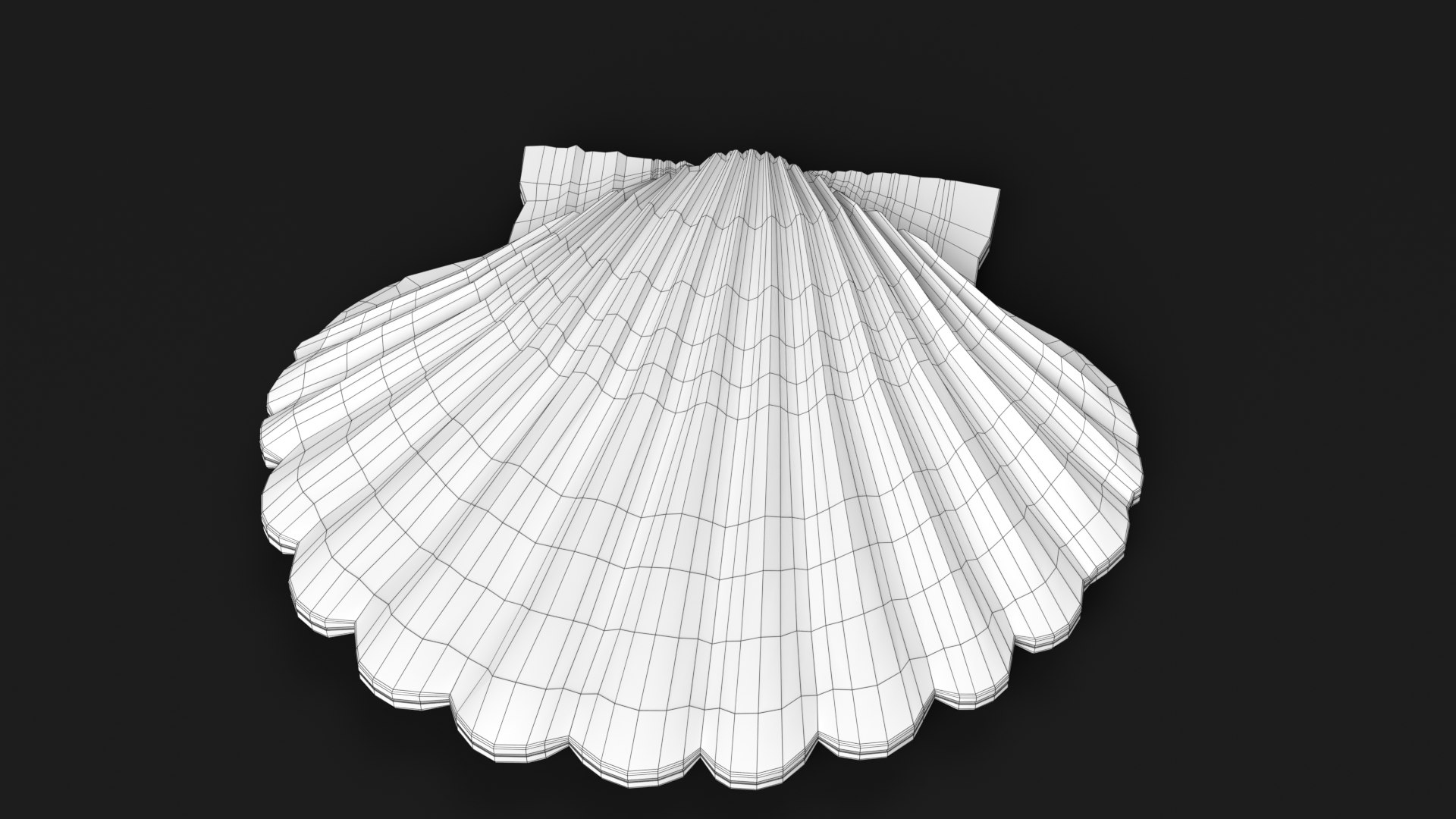 3D Seashell Shell Sea - TurboSquid 1665745