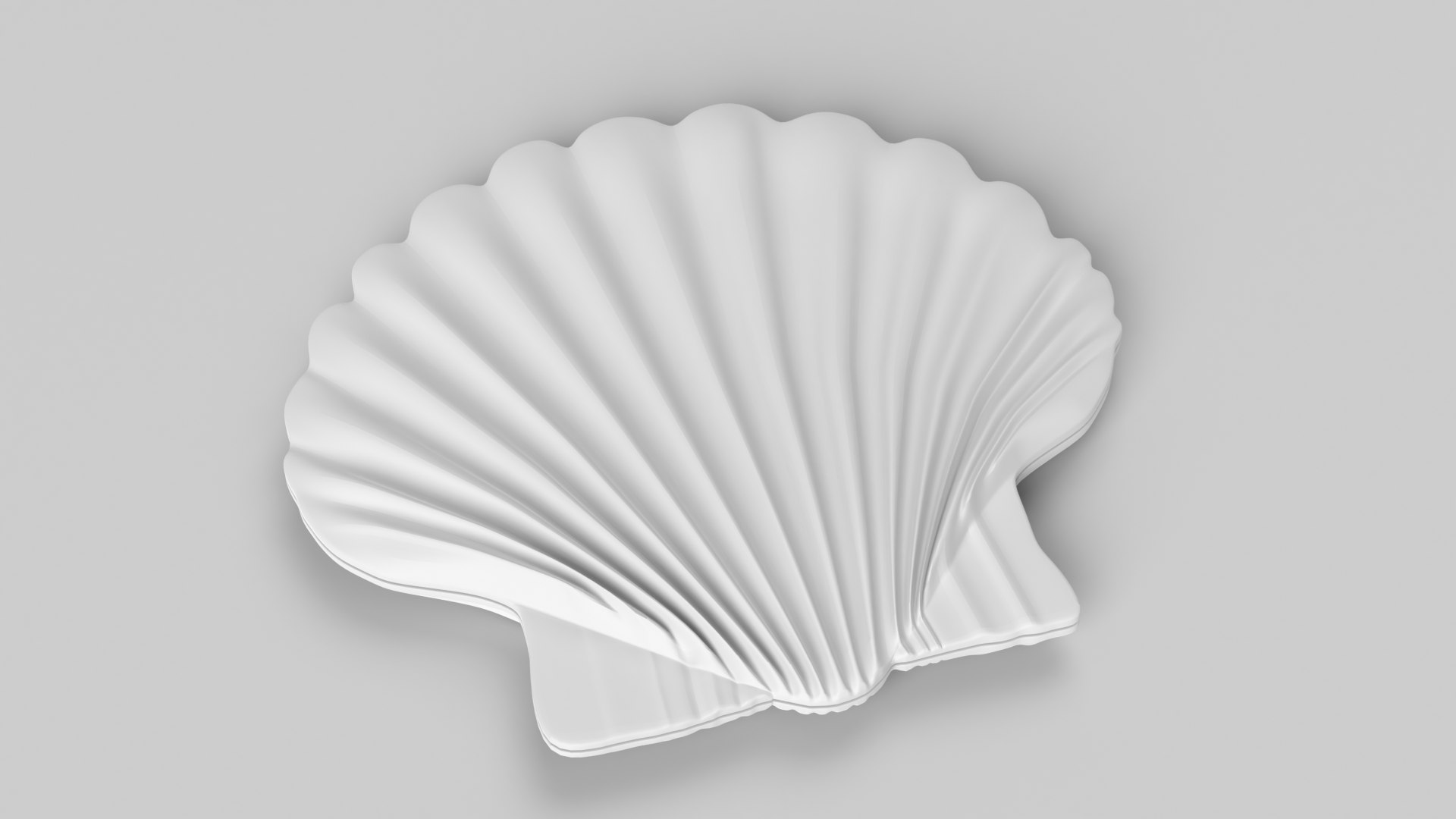 3D Seashell Shell Sea - TurboSquid 1665745